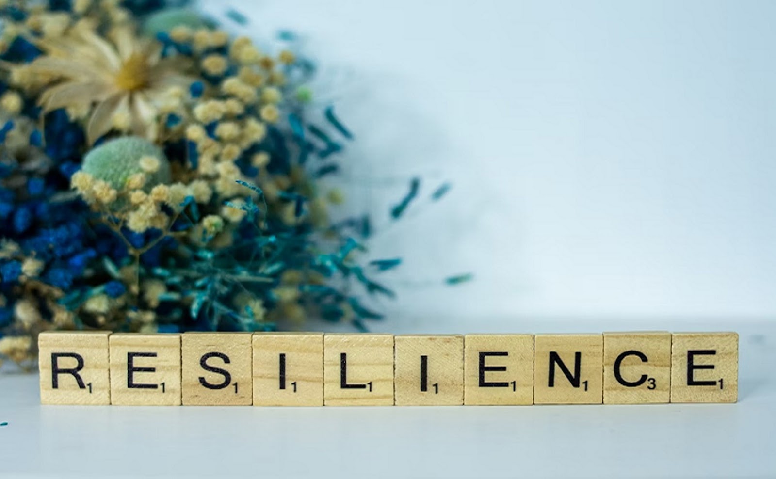 6 Characteristics of a Resilient Workforce in a Federal Agency